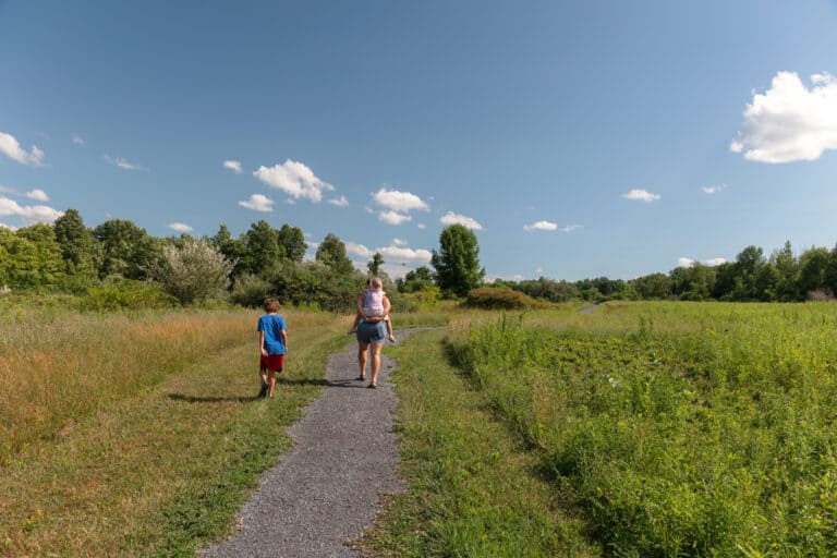 Hiking to the Six-Story Treehouse at the Cayuga Nature Center Near ...