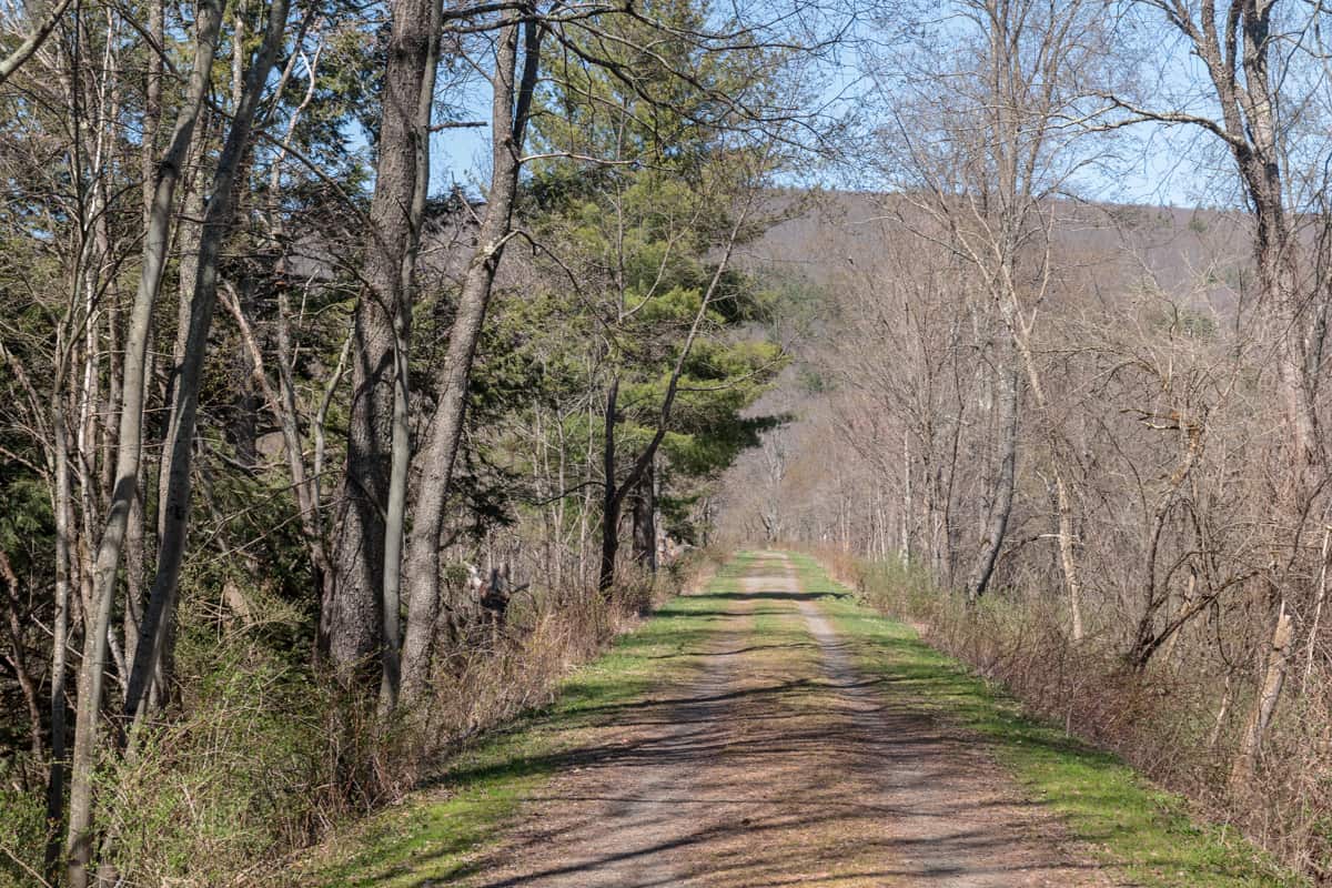 Hiking in Robert V. Riddell State Park in Otsego County, NY ...