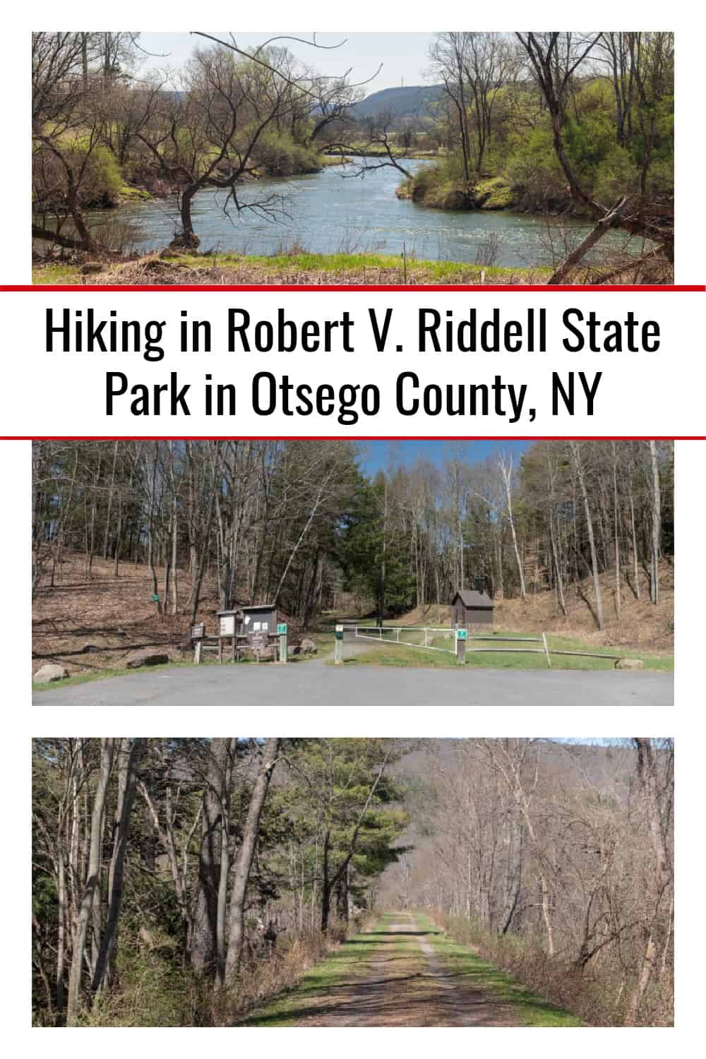 Hiking in Robert V. Riddell State Park in Otsego County, NY ...