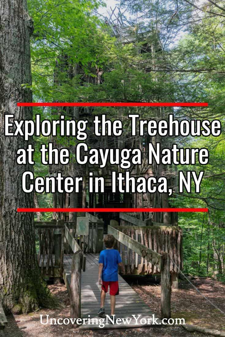 Hiking to the Six-Story Treehouse at the Cayuga Nature Center Near ...