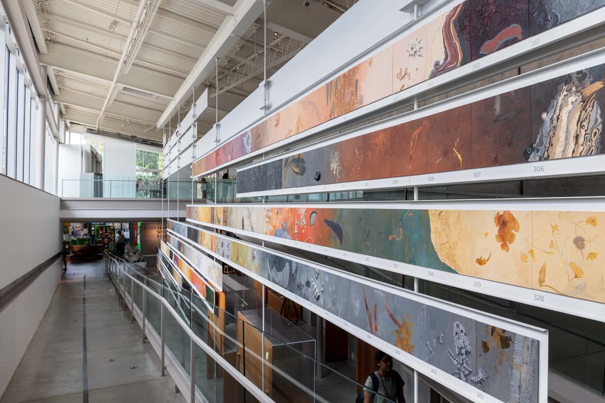 Exploring the Past at the Museum of the Earth in Ithaca - Uncovering ...