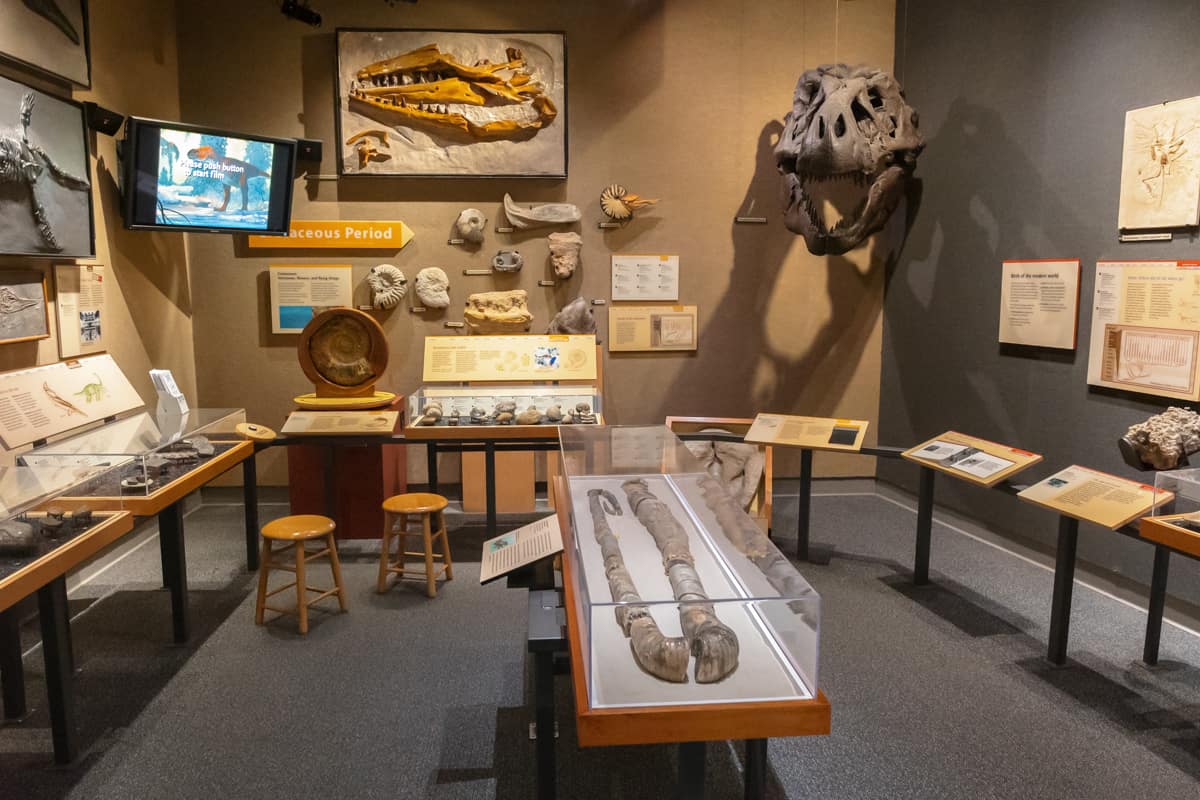 Exploring the Past at the Museum of the Earth in Ithaca - Uncovering ...