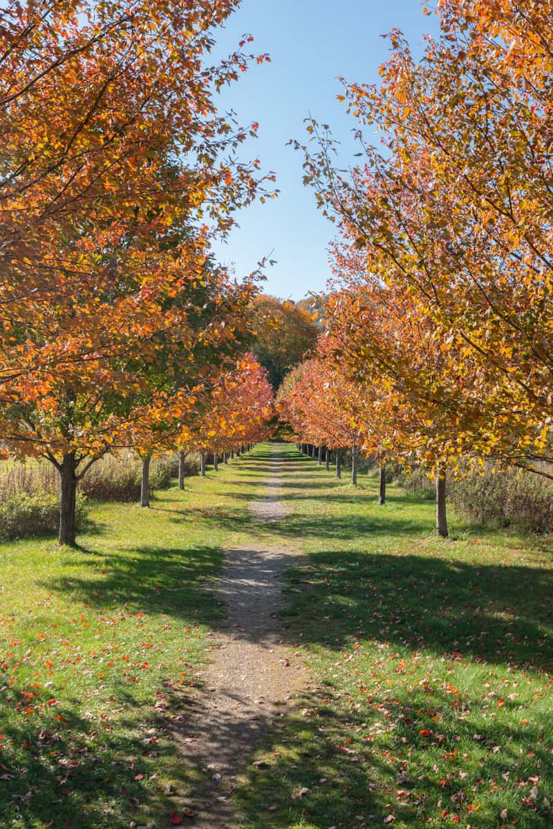 How to Get to Dover Stone Church in Dutchess County, NY - Uncovering ...