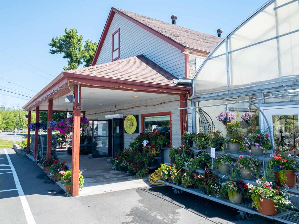 10 Incredible Syracuse Breweries You Won't Want to Miss - Uncovering ...